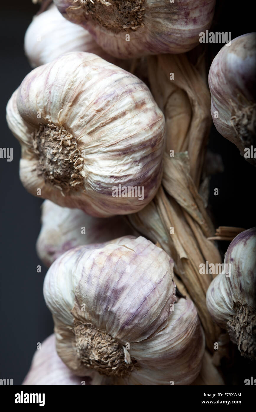 Upgrowth hi-res stock photography and images - Alamy