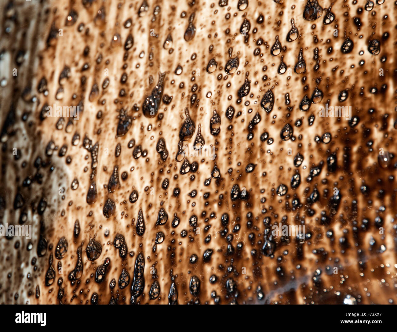 Image of oil stains and drops Stock Photo - Alamy