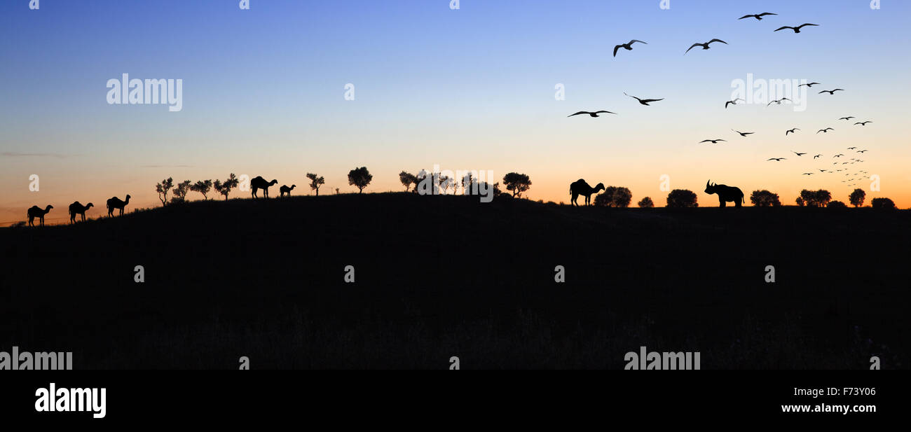 Sunset landscape with silhouettes of animals and trees Stock Photo - Alamy
