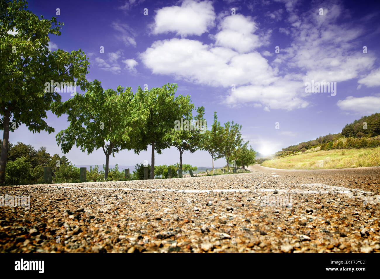 Suggestive point of view of landscape with road and trees.Travel ...
