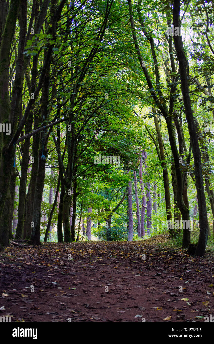 One of the paths around Dechmont Law in Livingston Stock Photo - Alamy