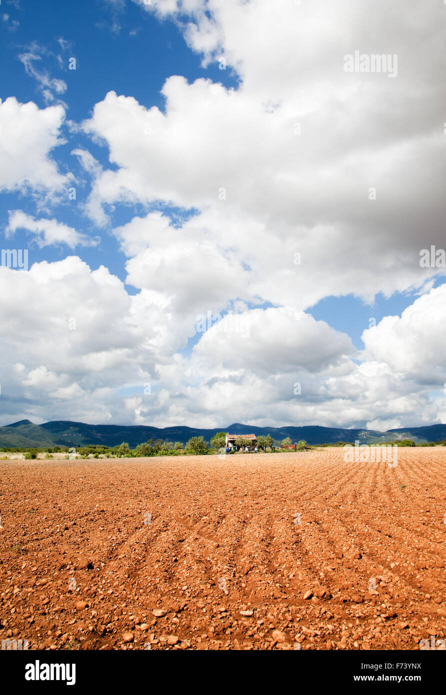 Rural landscape with field and little house Stock Photo - Alamy