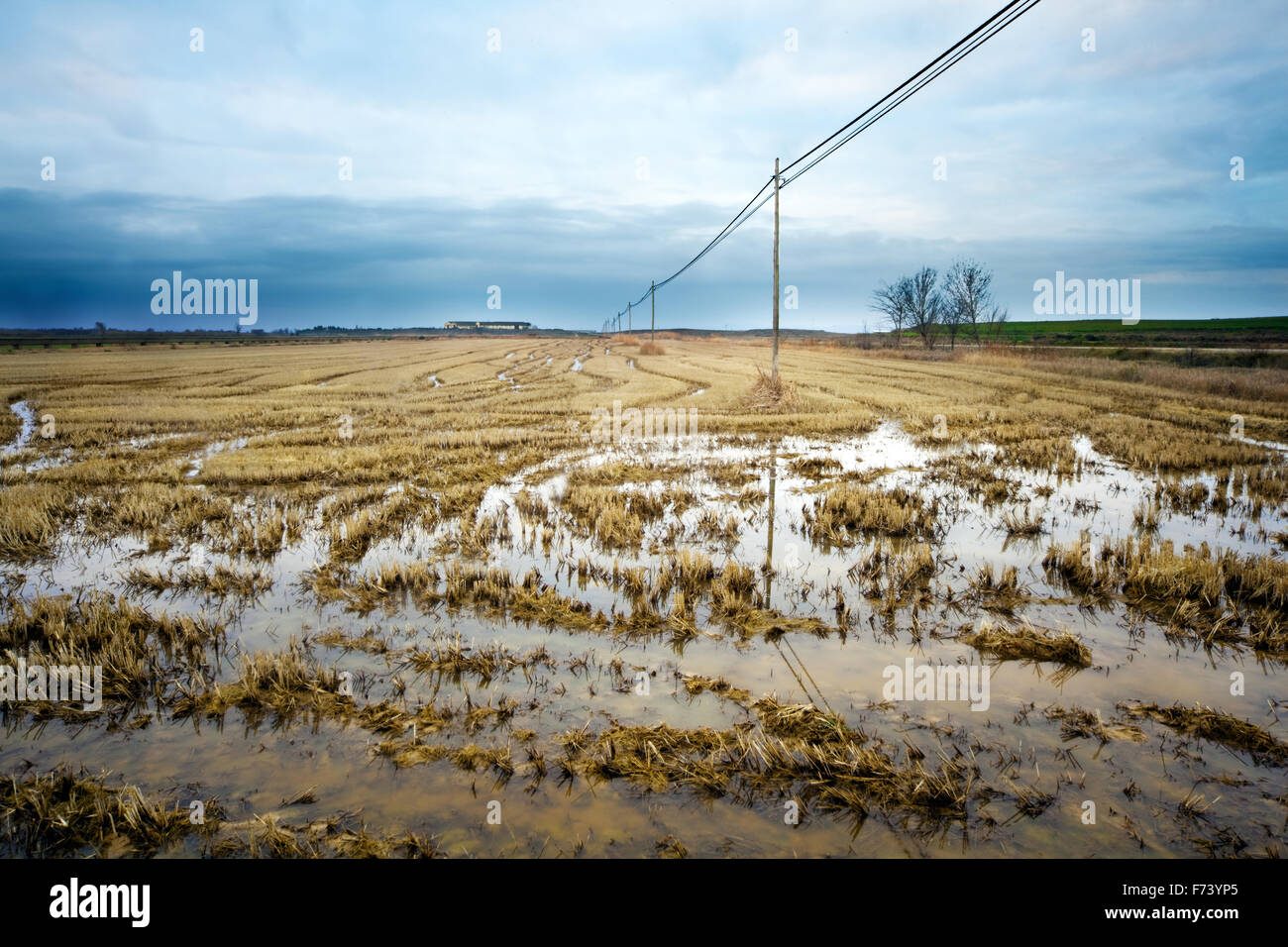 Rural landscape with harvest field flooded Stock Photo - Alamy