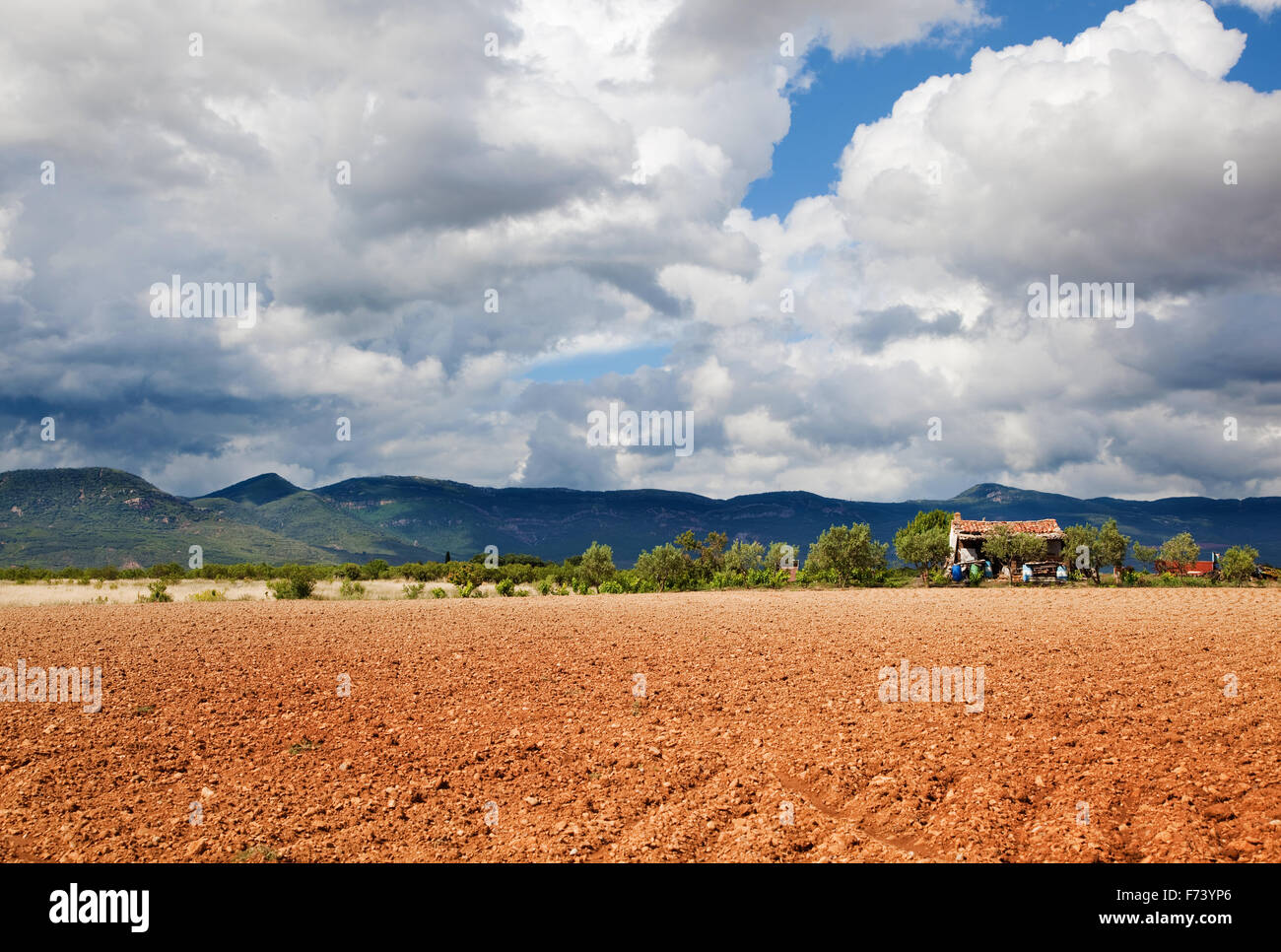 Rural landscape with planted field and little house Stock Photo - Alamy