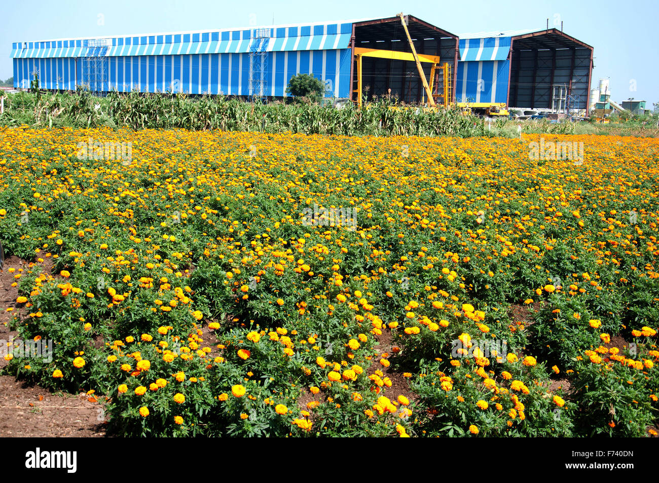 Deolali Stock Photos & Deolali Stock Images - Alamy