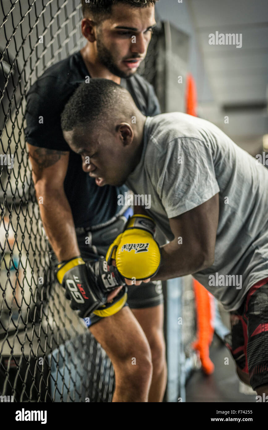 MMA fighter training Stock Photo - Alamy