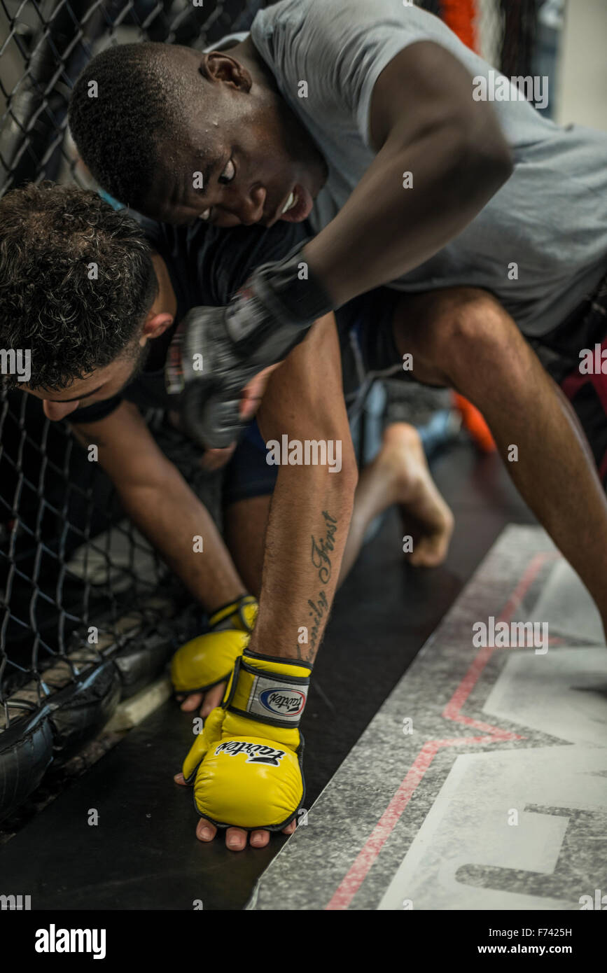 MMA fighter training Stock Photo - Alamy