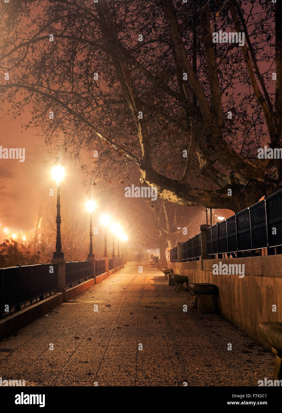 City street at night with trees and lamppost.Winter night cityscape ...