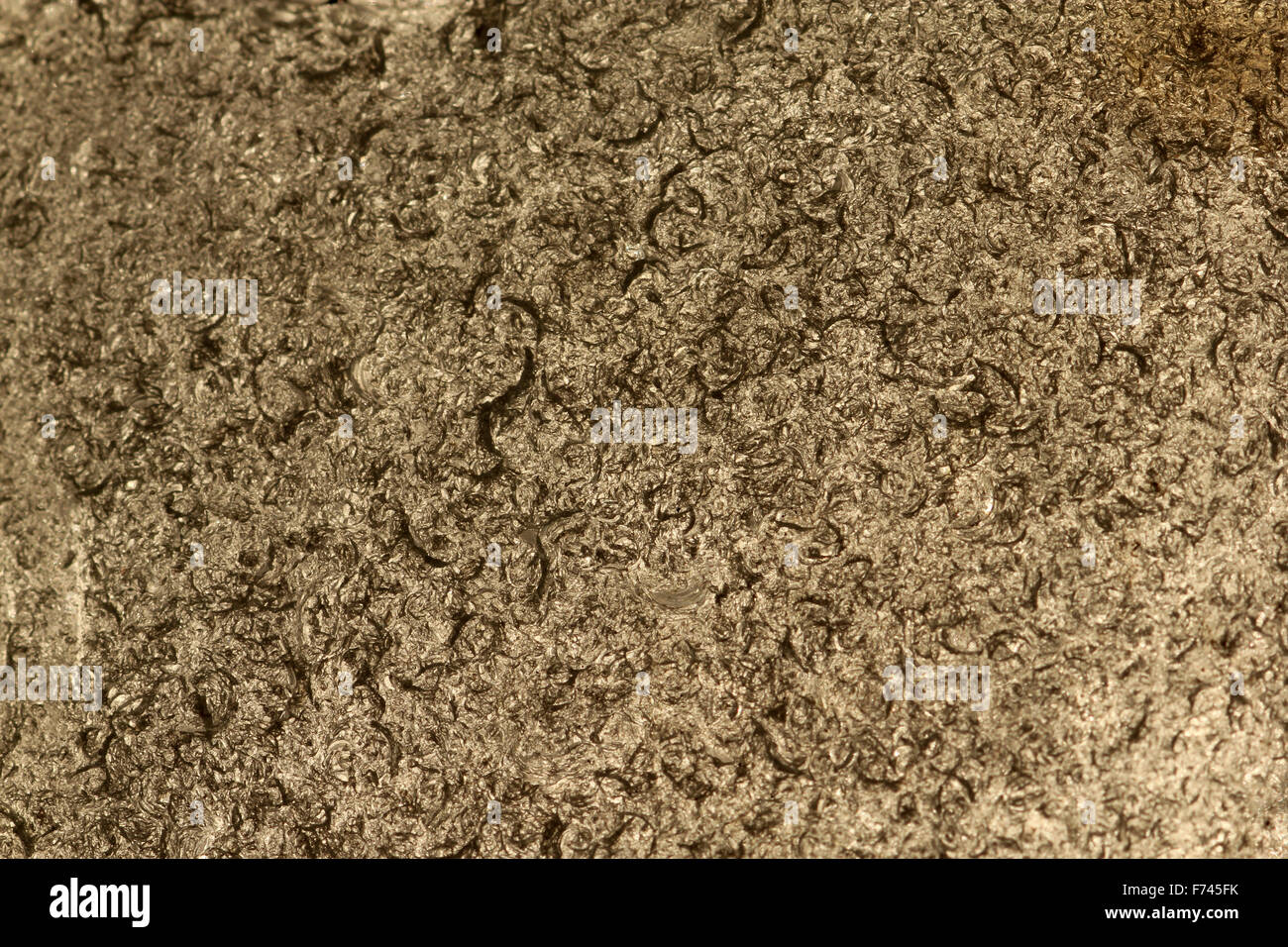 Pebble glass texture hi-res stock photography and images - Alamy