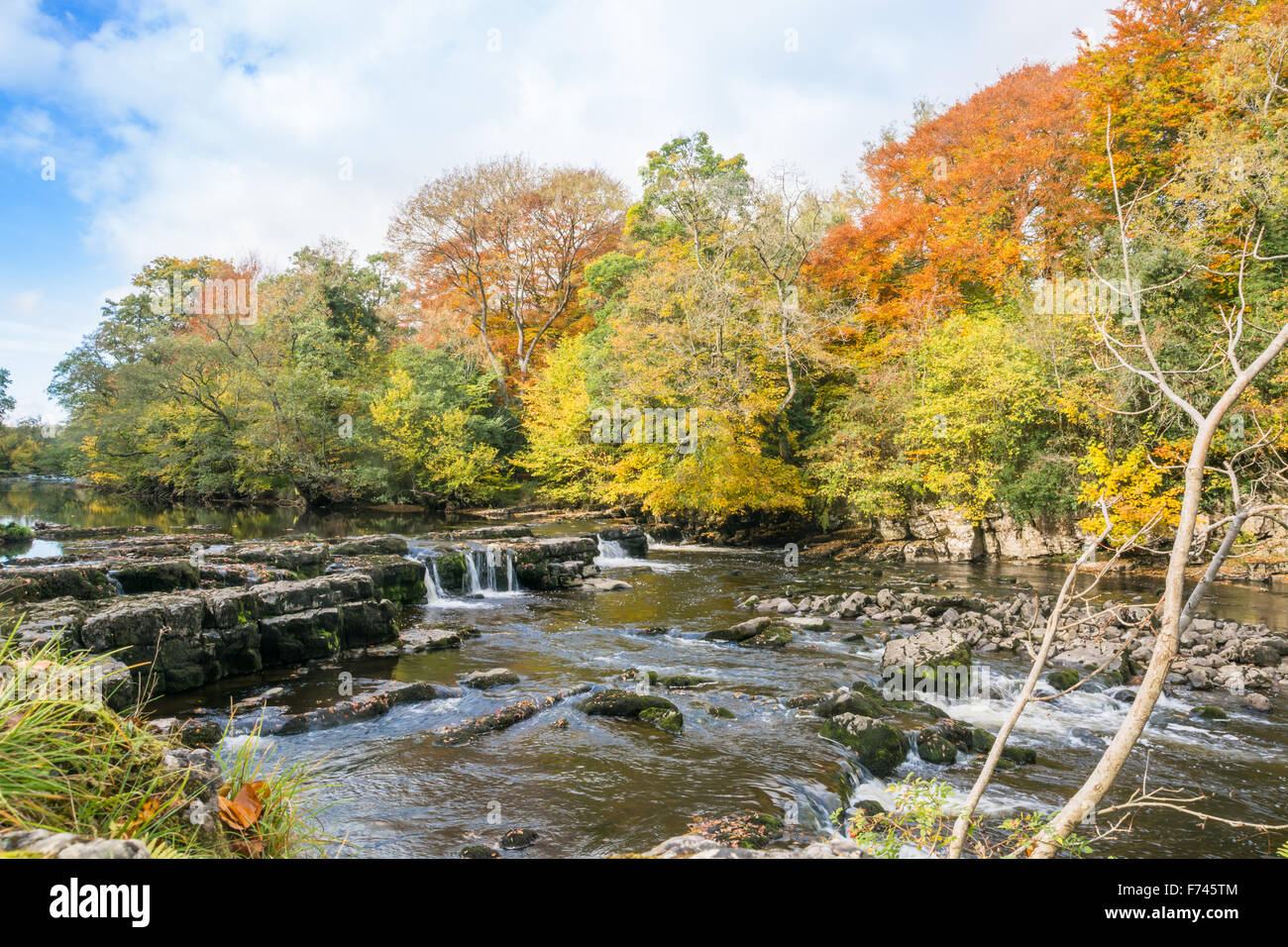 Redmire hi-res stock photography and images - Alamy