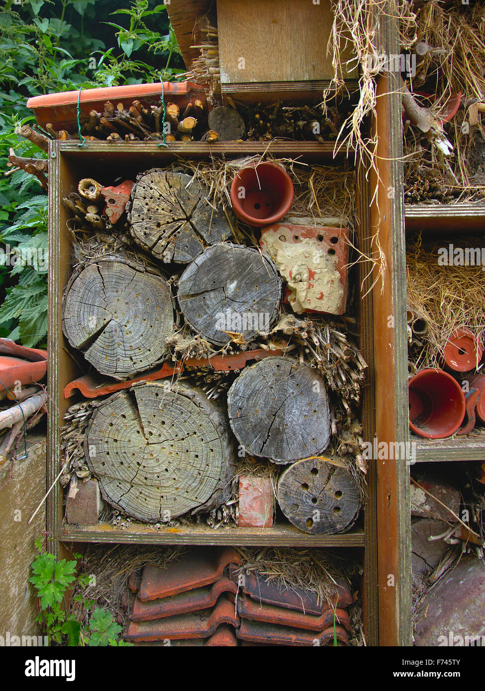 Insect hotel hi-res stock photography and images - Alamy