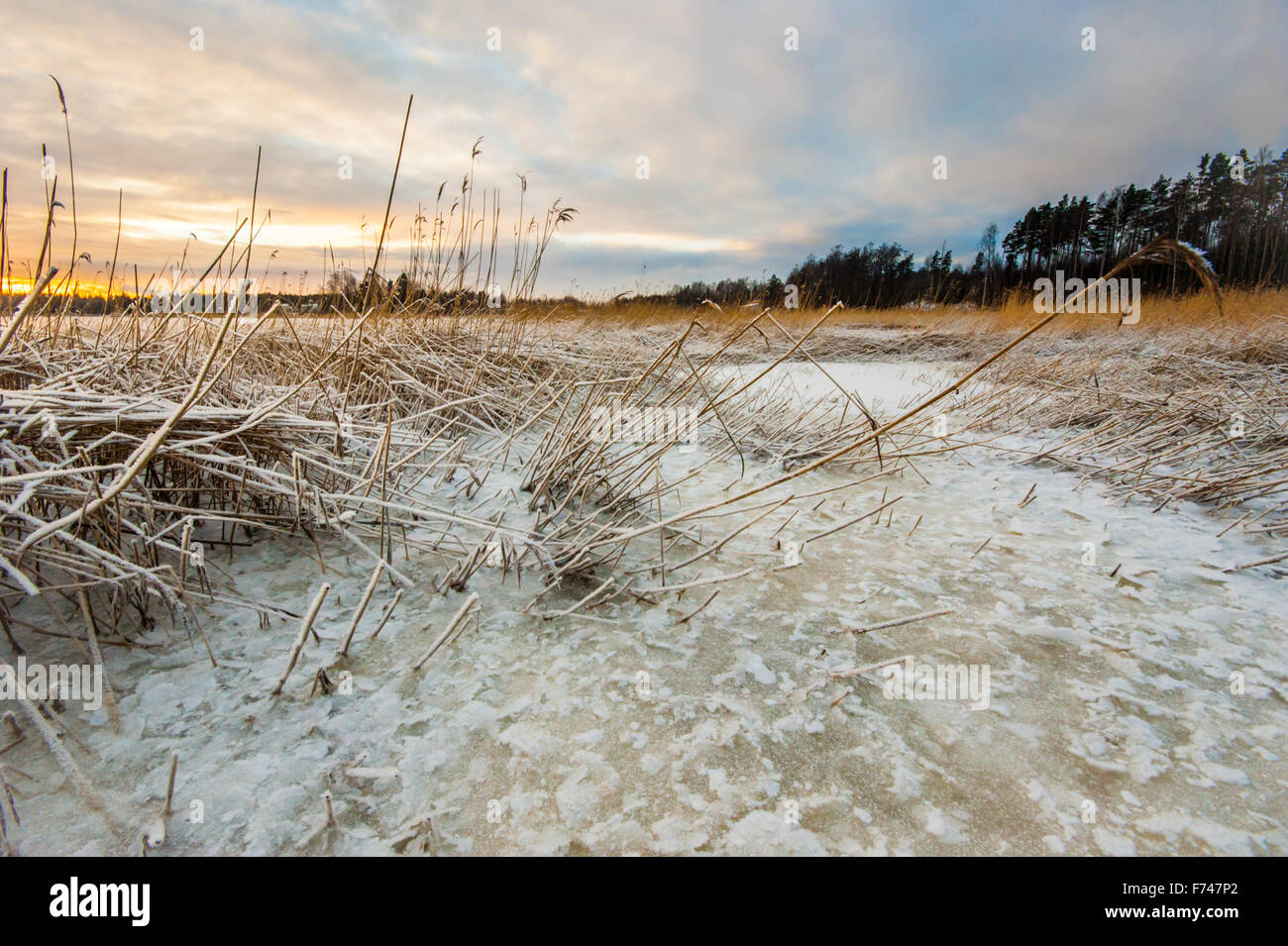 Icy beach in cold winter Stock Photo - Alamy
