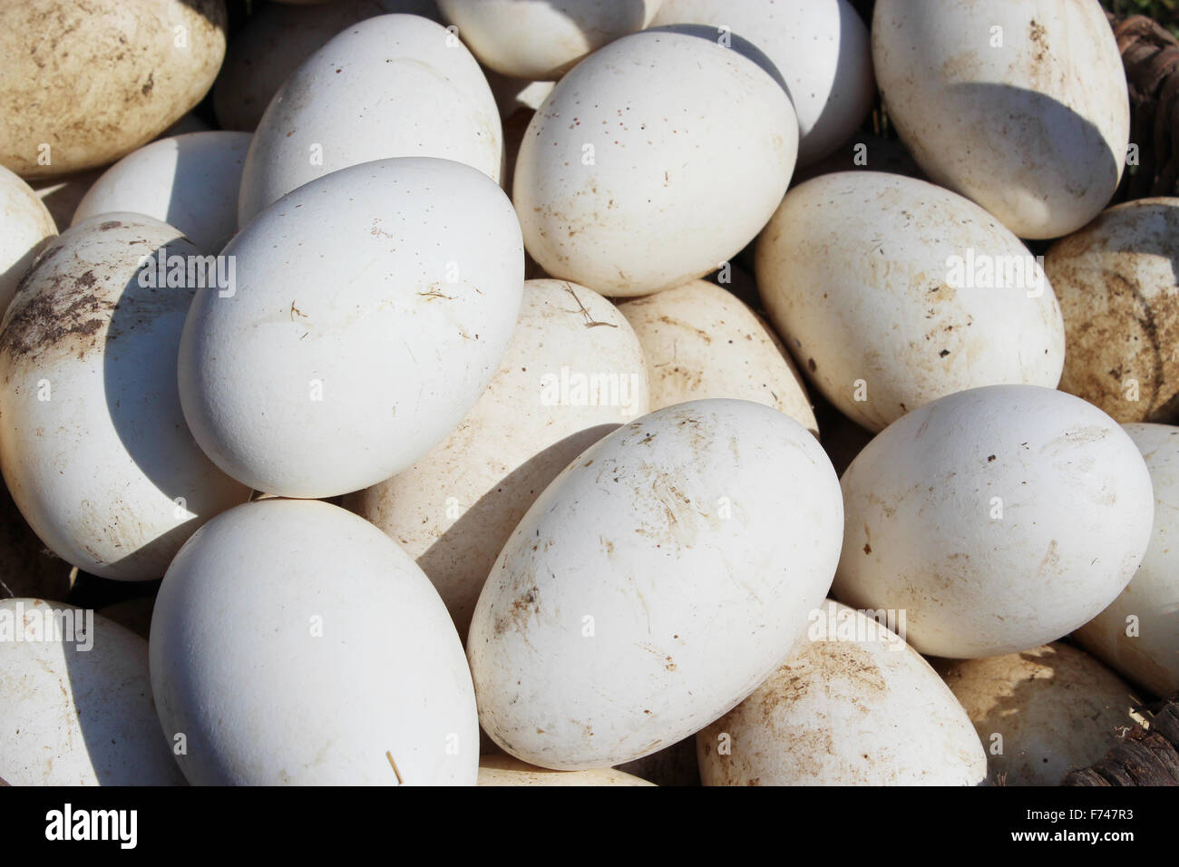 Heap of eggs hi-res stock photography and images - Alamy