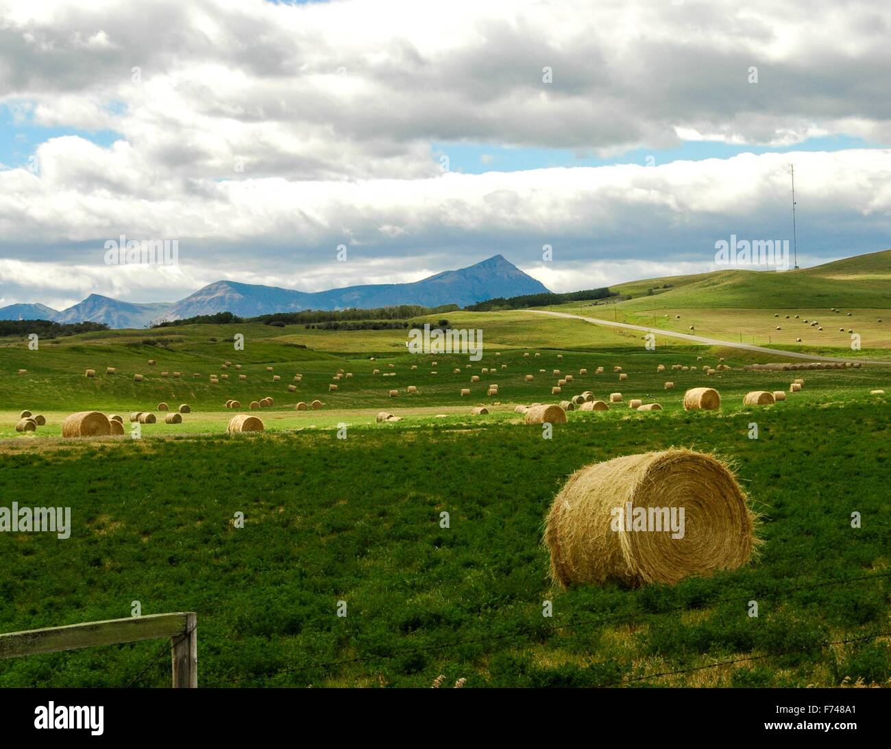 Majestic foothills in southern Alberta Stock Photo - Alamy