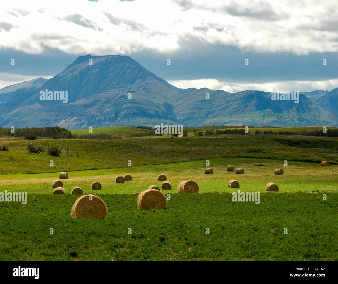 Majestic foothills in southern Alberta Stock Photo - Alamy