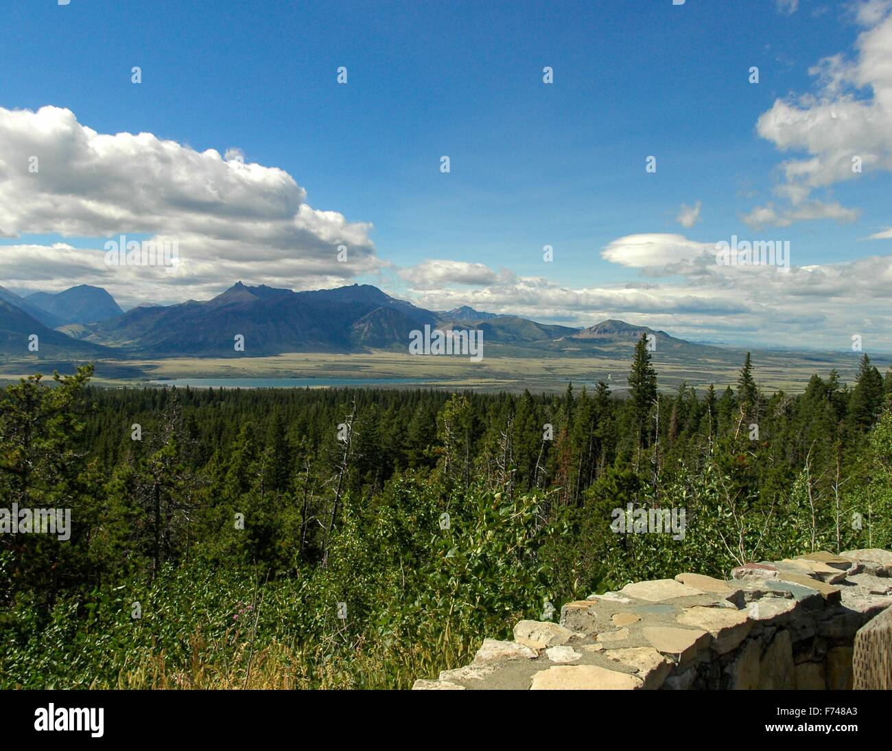 Cattle ranch in foothills hi-res stock photography and images - Alamy