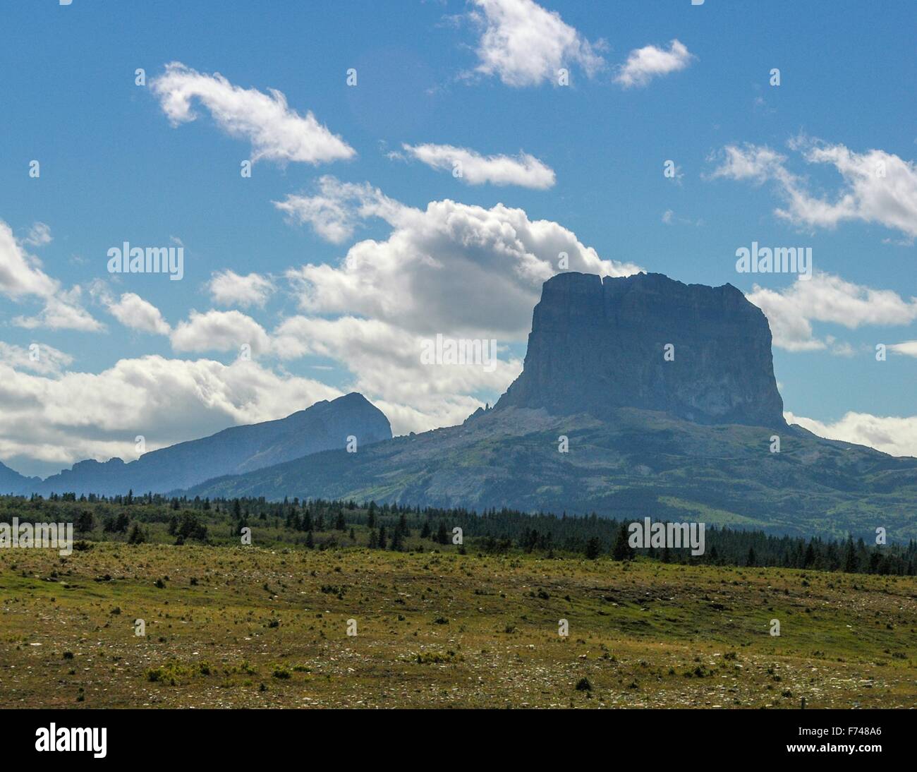 Cattle ranch southern alberta hi-res stock photography and images - Alamy