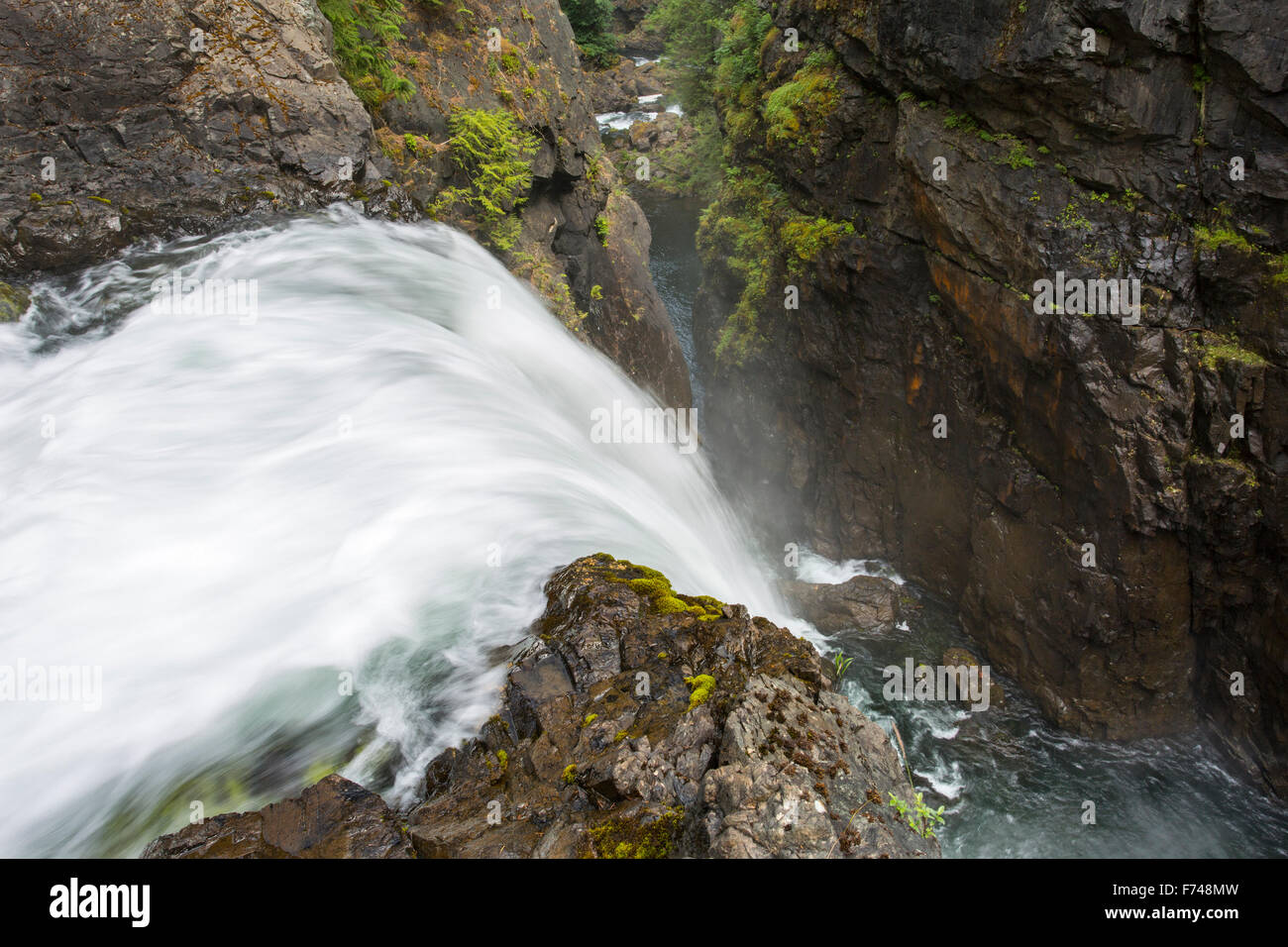Canada, British Columbia, Vancouver Island, Elk Falls Provincial Park ...