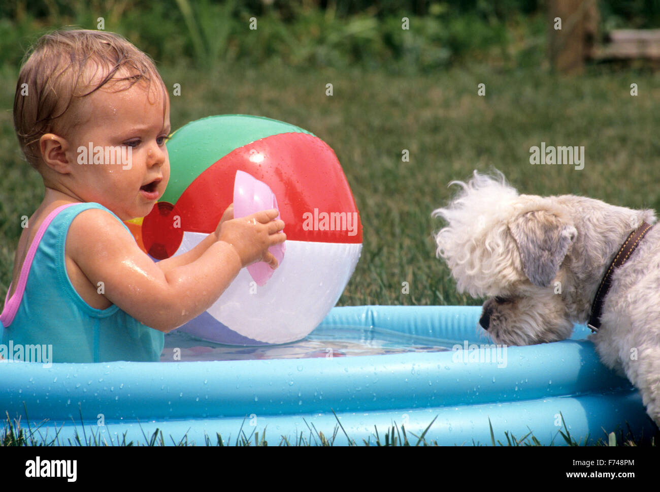 Plastic Pool Stock Photos & Plastic Pool Stock Images - Alamy