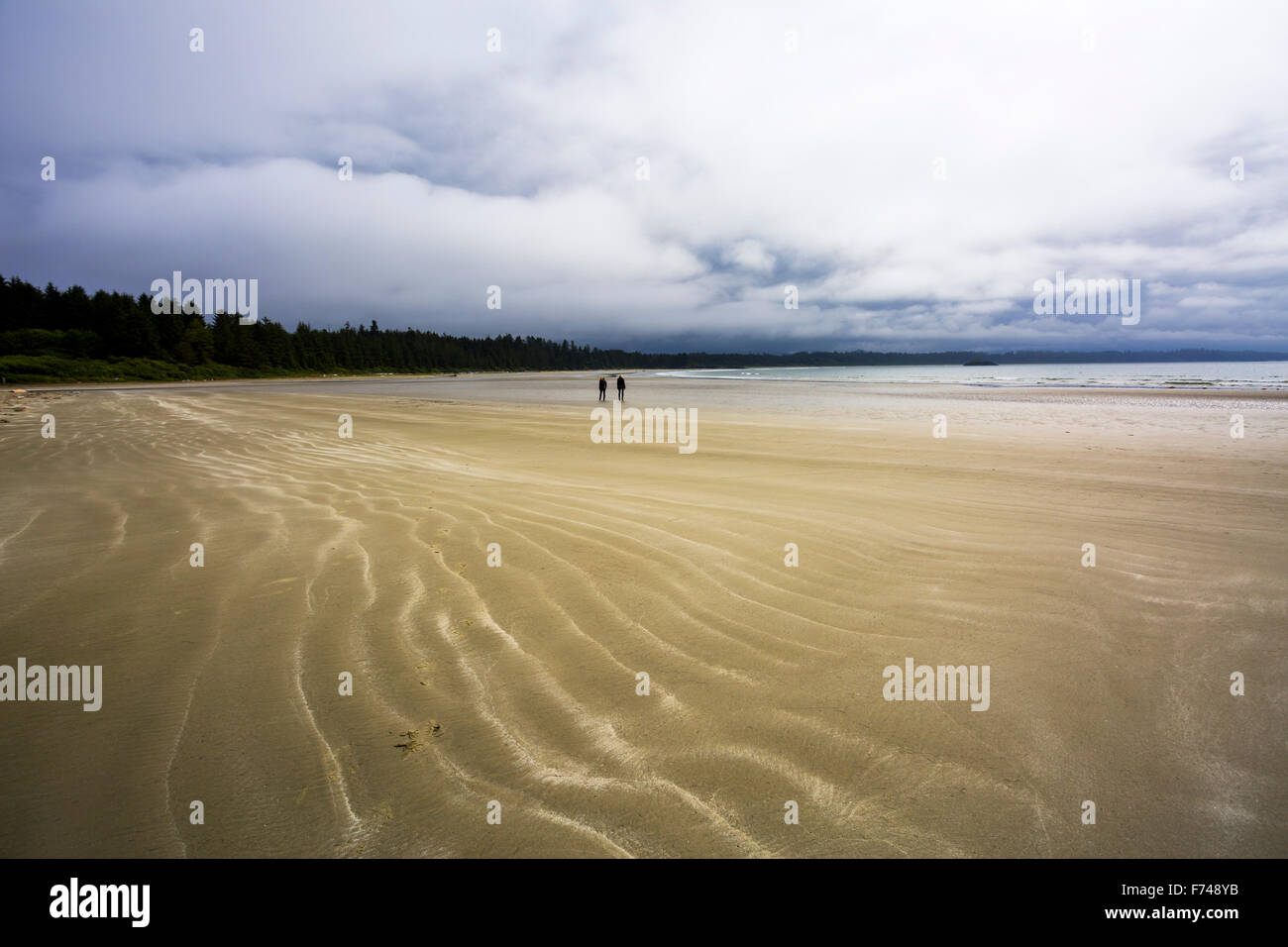 Canada, British Columbia, Vancouver Island, Pacific Ocean, Pacific Rim ...