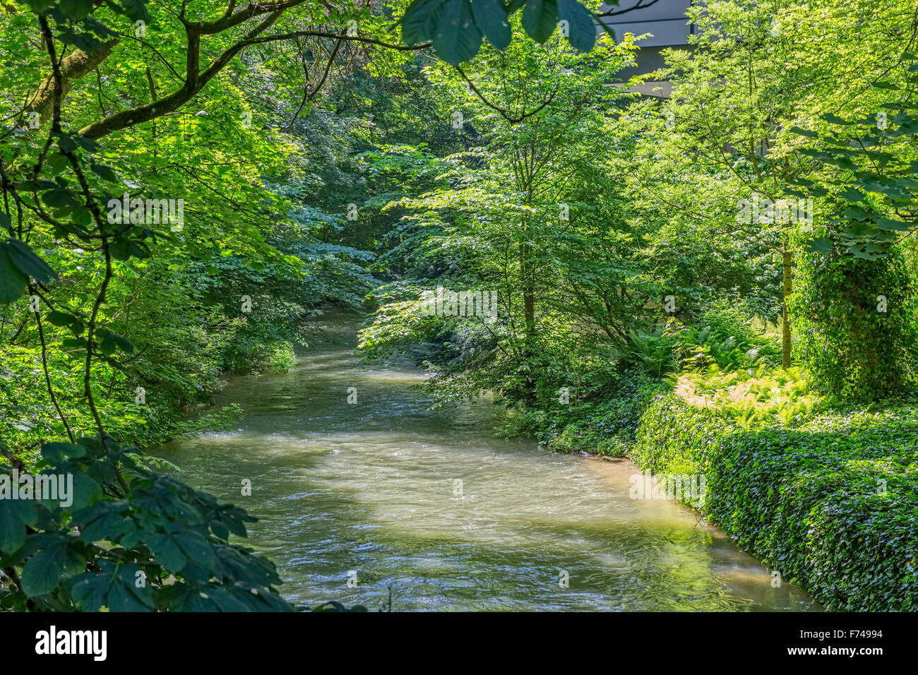Munich English garden river Stock Photo - Alamy