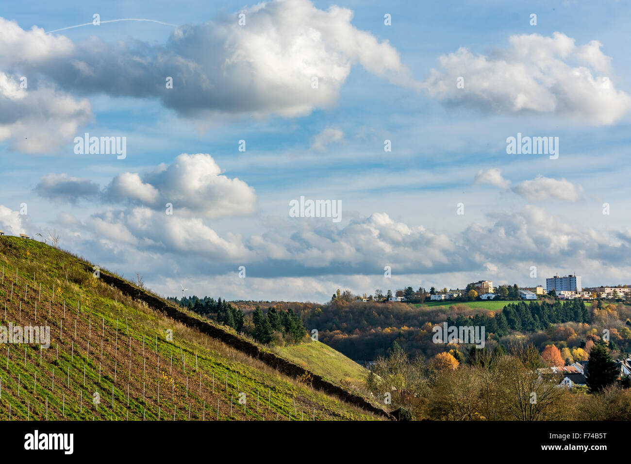 German vineyard on a beautiful autumn day Stock Photo - Alamy