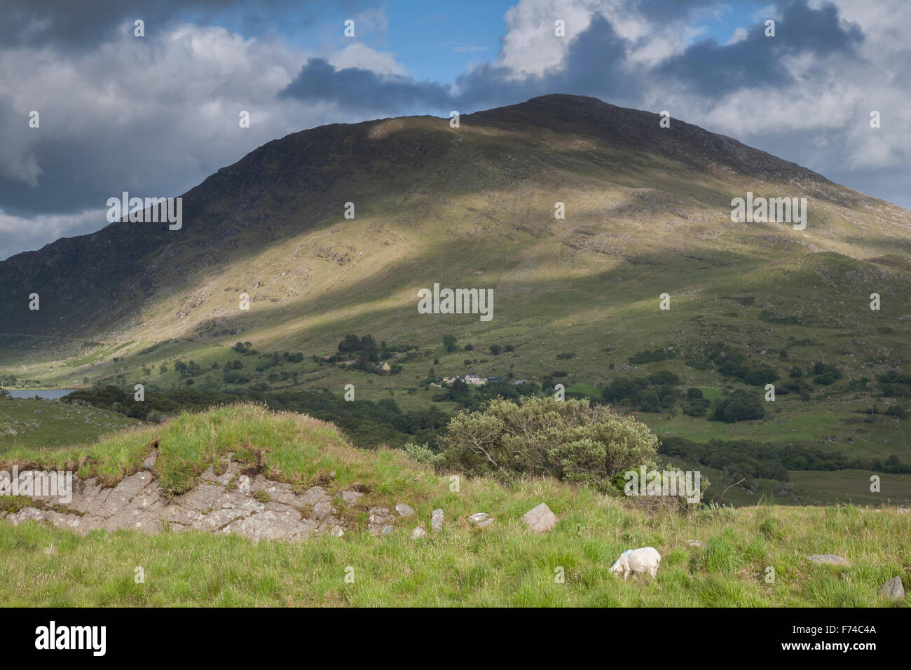 Countryside near Molls Gap; Killarney National Park; County Kerry ...