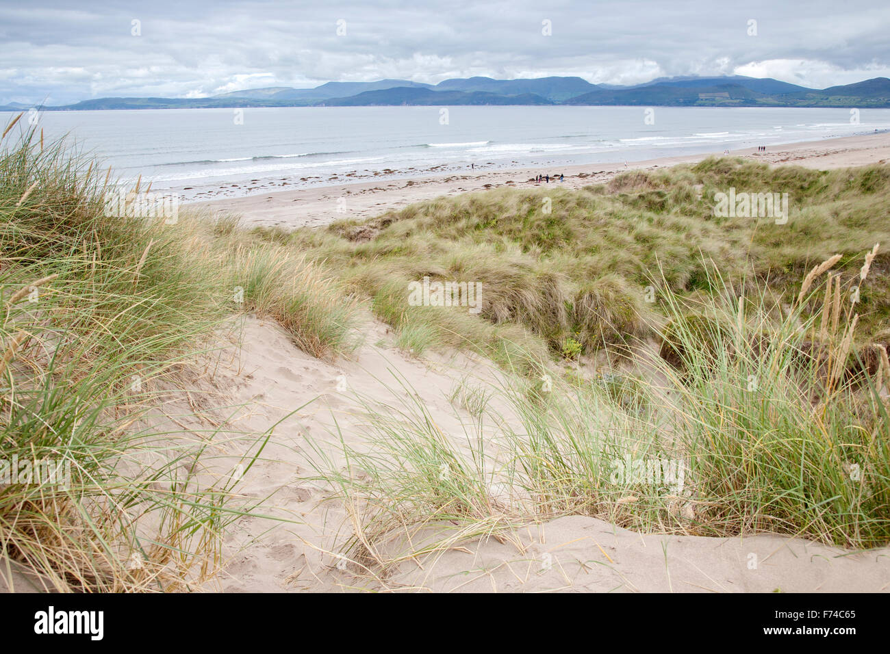 Rossbeigh Beach, County Kerry; Ireland Stock Photo - Alamy