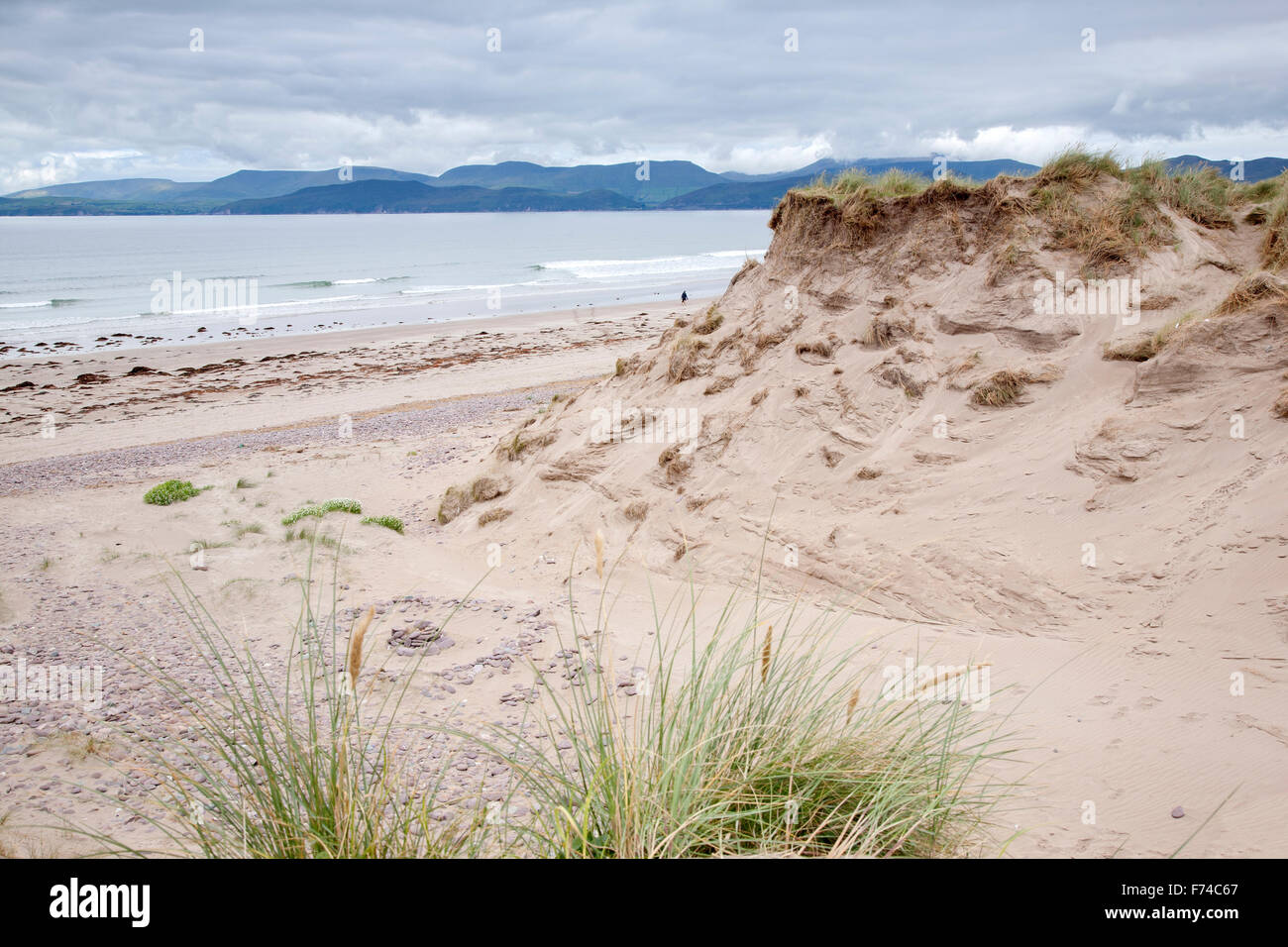 Rossbeigh Beach, County Kerry; Ireland Stock Photo - Alamy