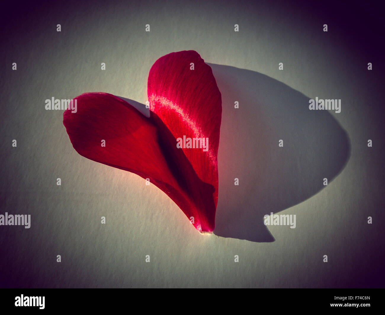 Heart blossom hi-res stock photography and images - Alamy