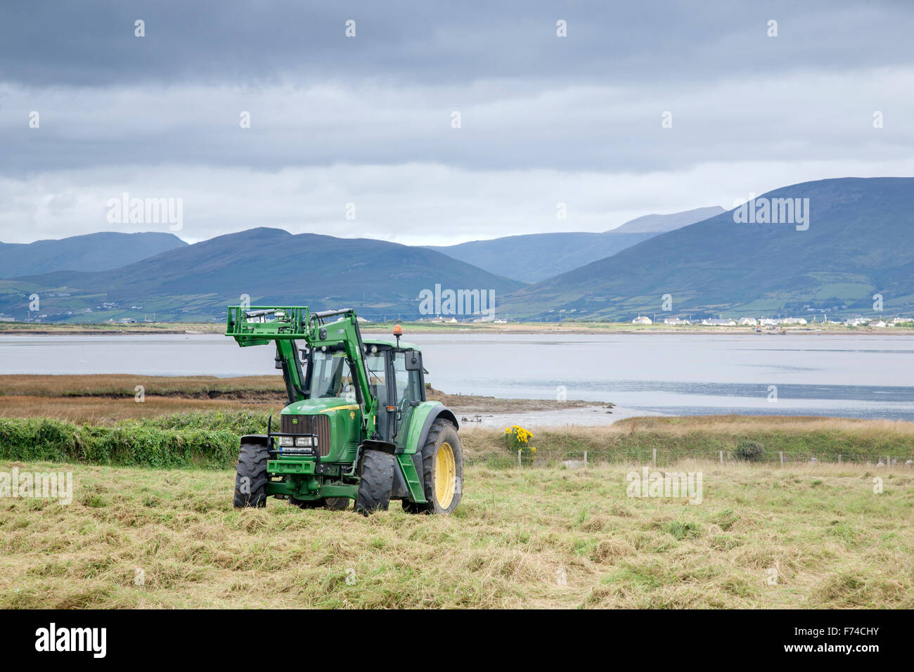 Killorglin harvest hi-res stock photography and images - Alamy