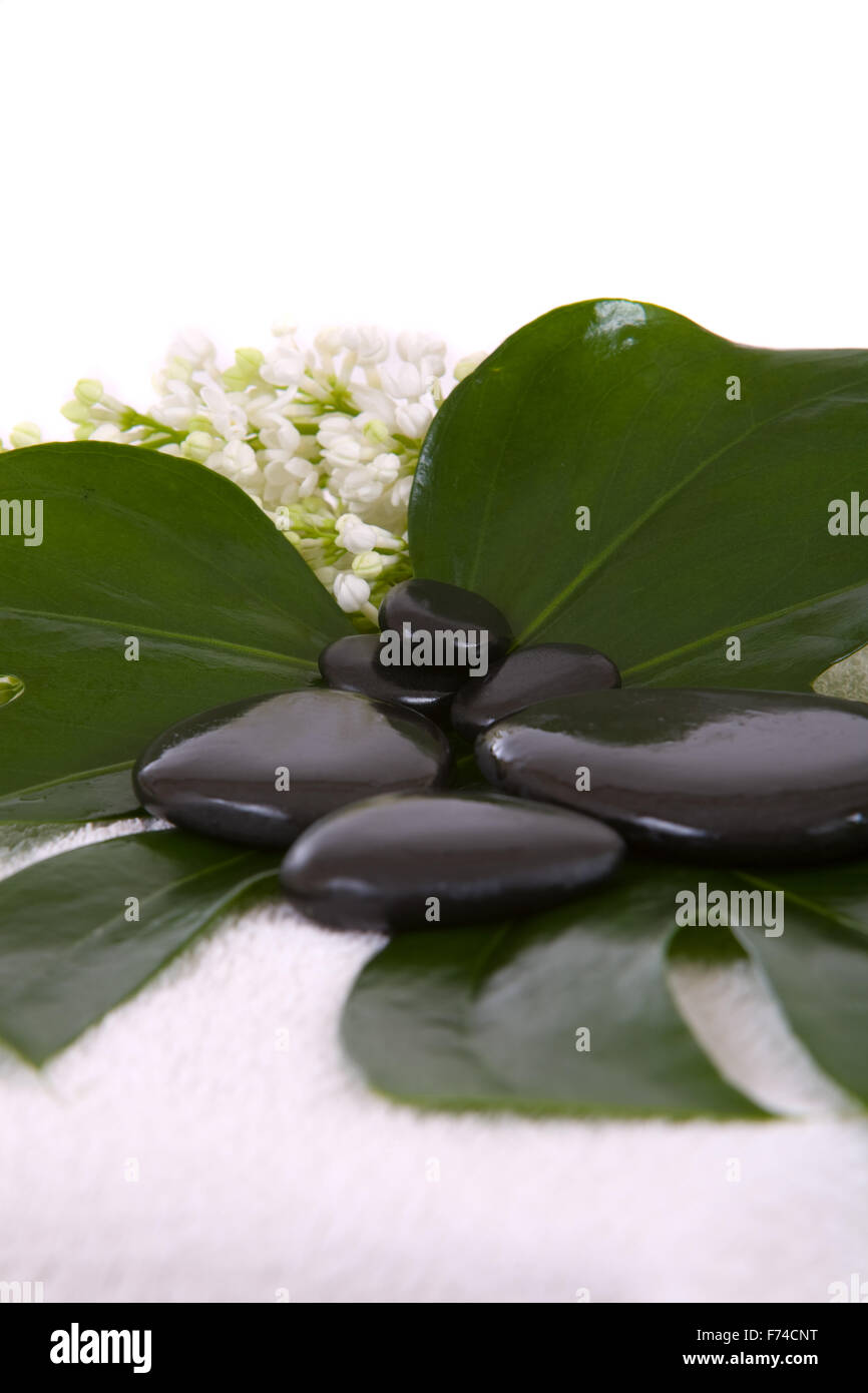 Hotstone hi-res stock photography and images - Alamy
