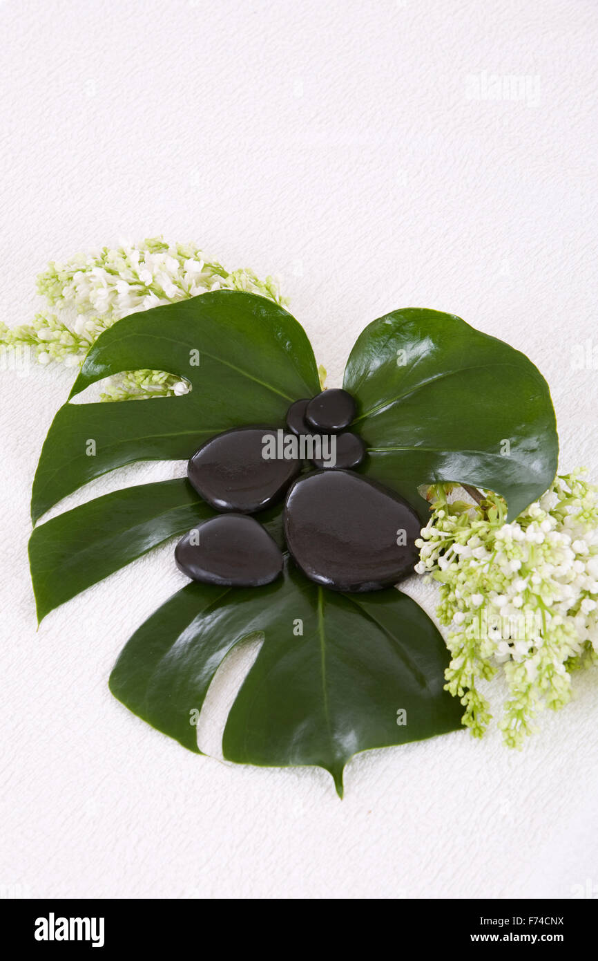 Hot_stones hi-res stock photography and images - Alamy