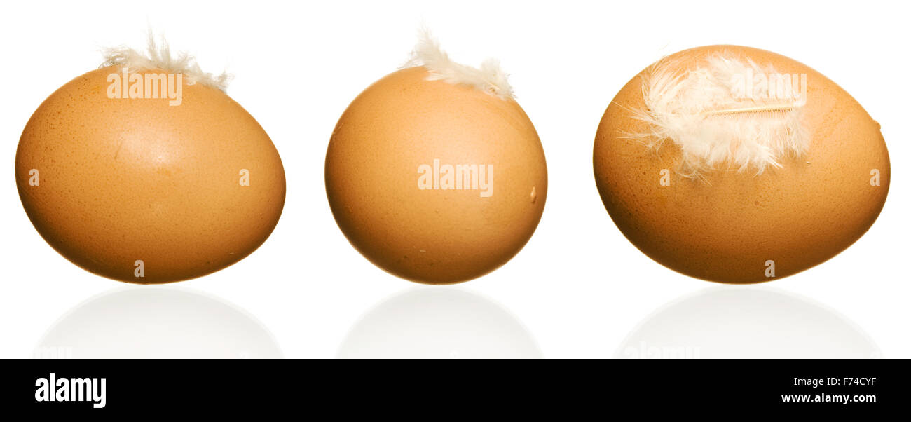 Eggs with feather Stock Photo - Alamy
