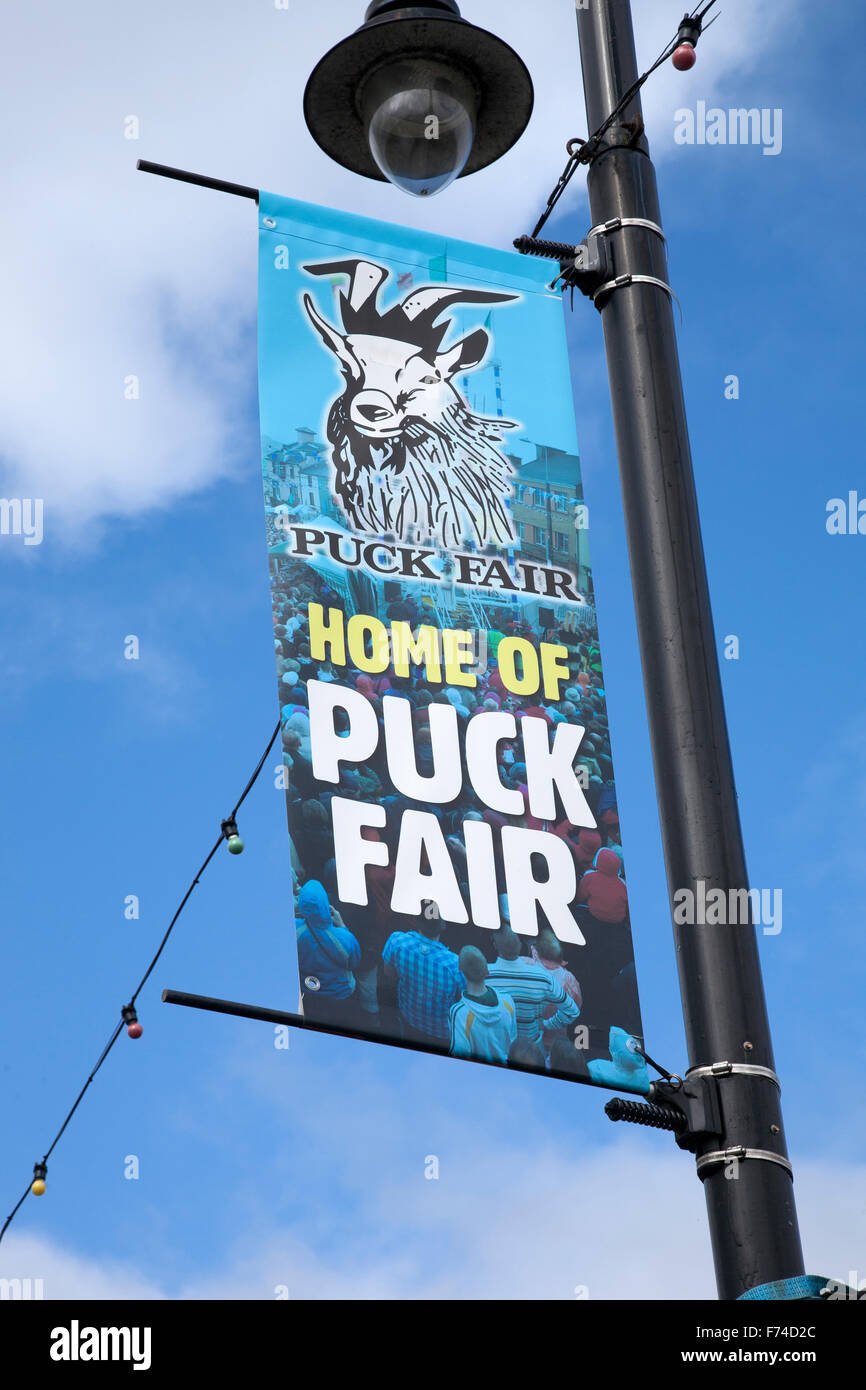 Puck fair festival hi-res stock photography and images - Alamy