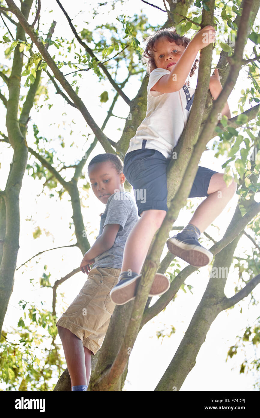 Boys in tree hi-res stock photography and images - Alamy