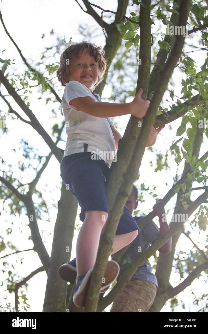Two boys having fun climbing a tree Stock Photo - Alamy
