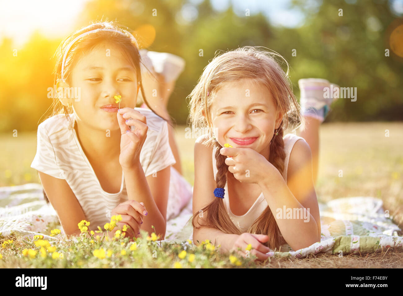 Two girls with flowers in summer on a meadow Stock Photo - Alamy