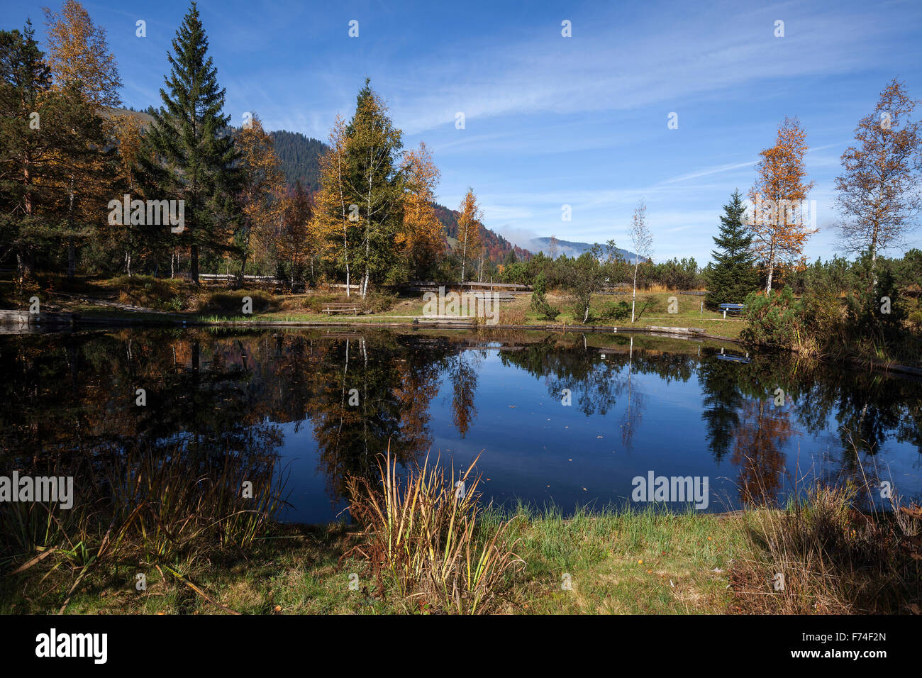 Moorland lake, Kematsried-Moos, autumn, Oberjoch, Allgau, Bavaria ...