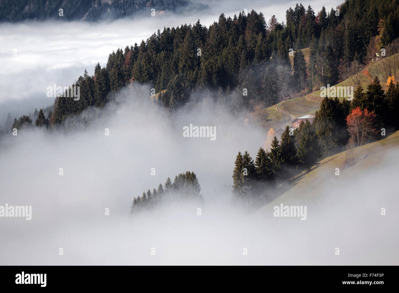 Fog above Ostrach Valley, Bad Hindelang, Allgäu, Bavaria, Germany Stock ...