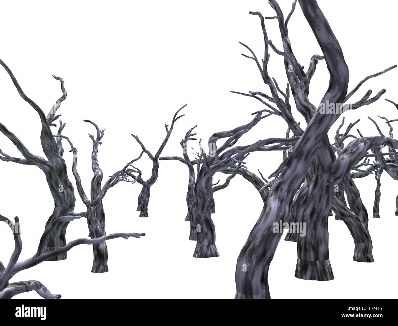 Illustrations forest hi-res stock photography and images - Alamy