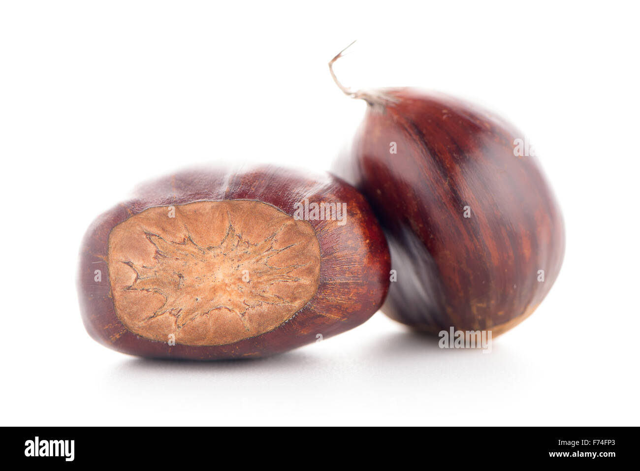 Chestnuts with shell isolated on white background Stock Photo - Alamy