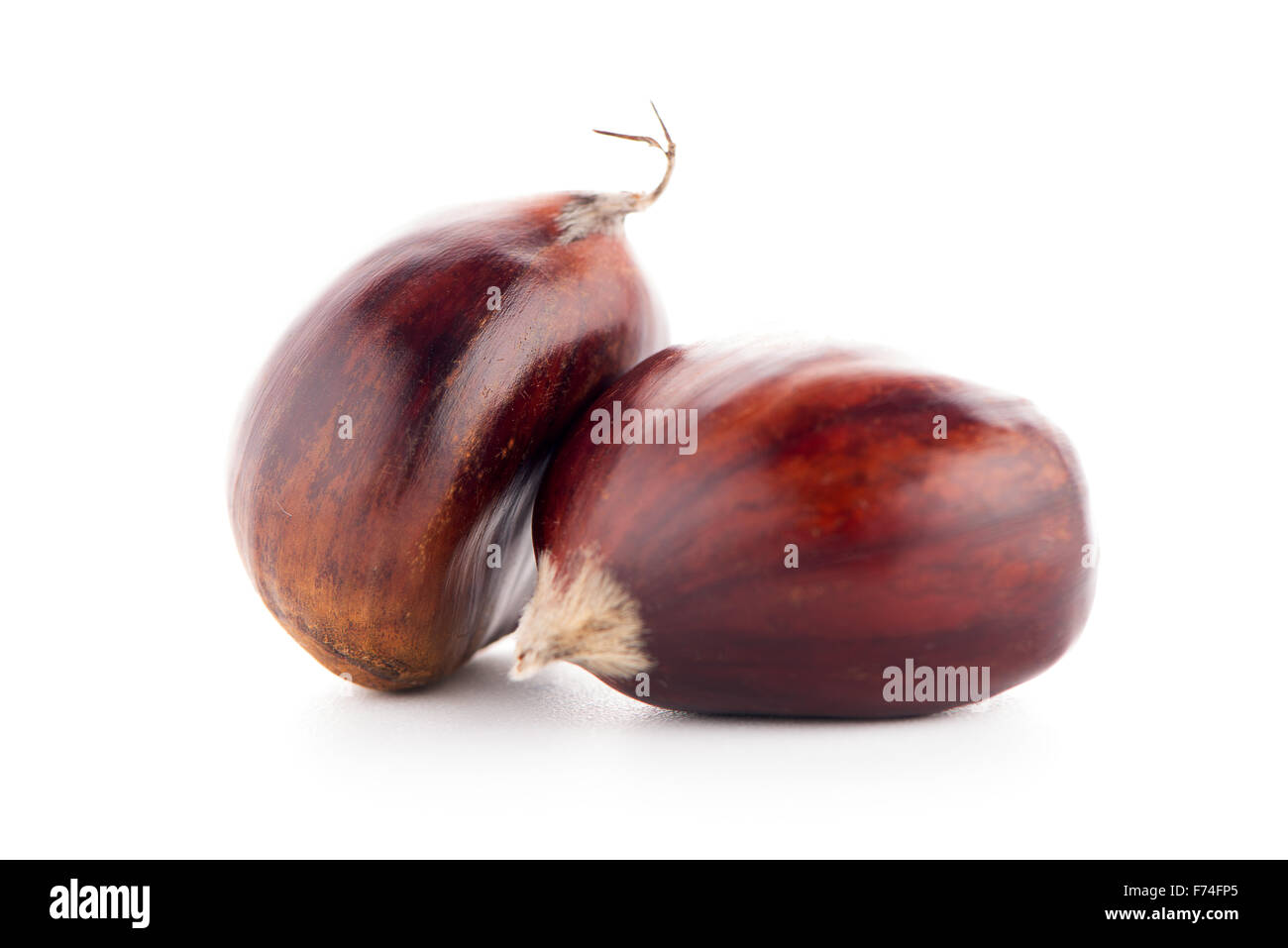 Chestnuts with shell isolated on white background Stock Photo - Alamy