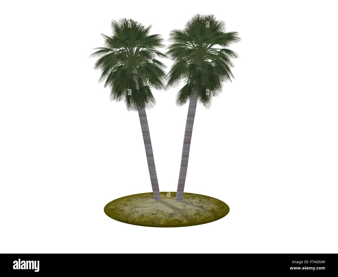 Palm tree shade Cut Out Stock Images & Pictures - Alamy