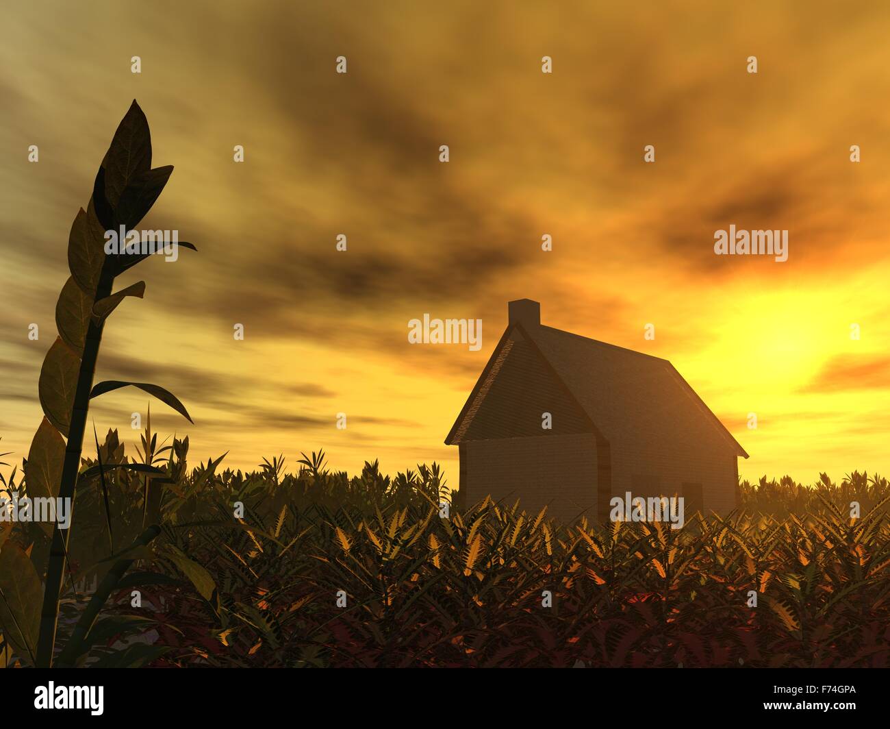 house in sunset Stock Photo - Alamy
