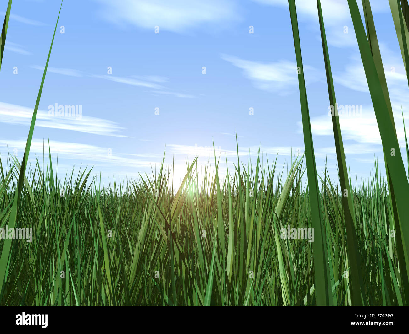 grass & sky Stock Photo - Alamy