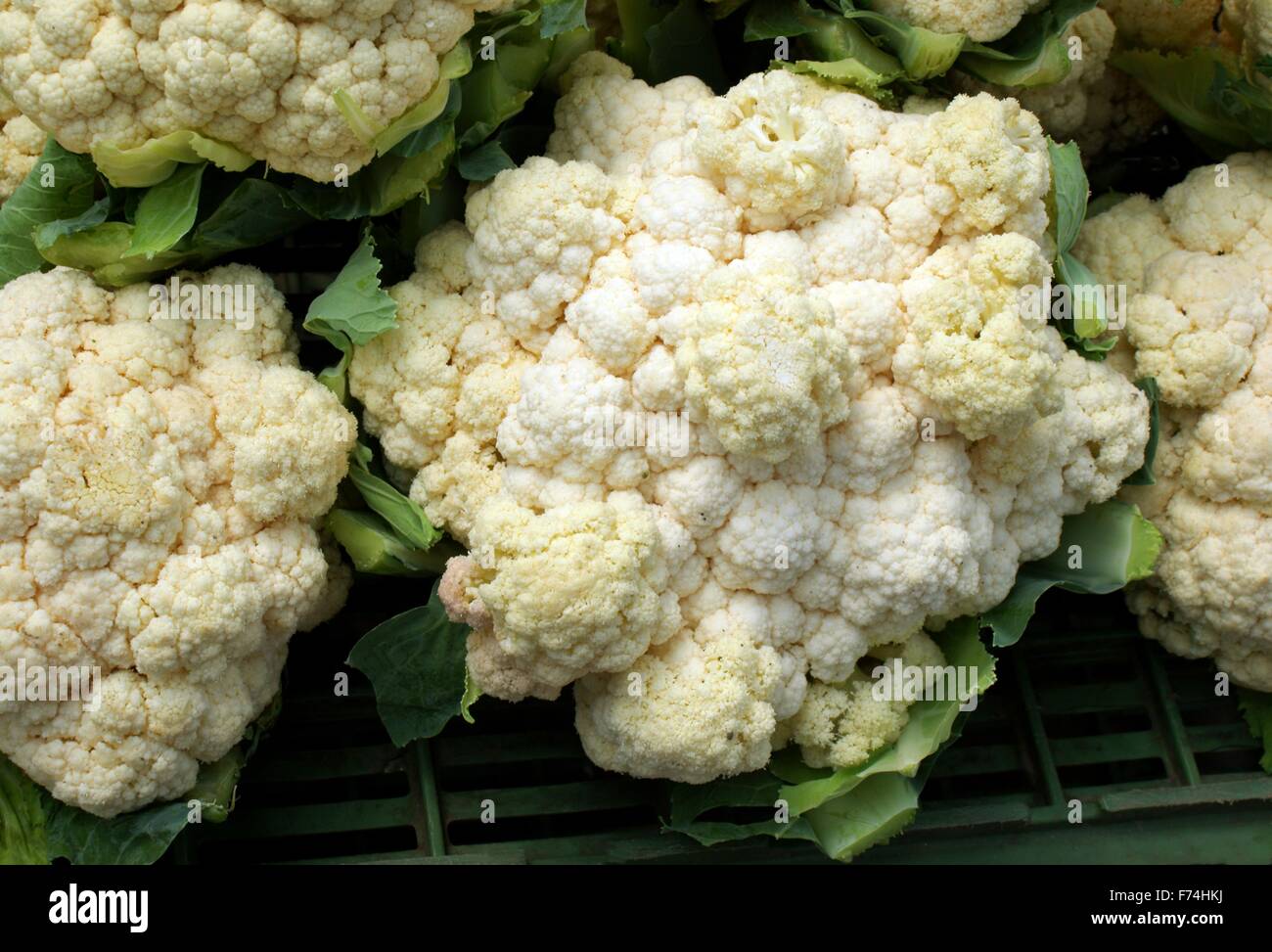 Calliflower hi-res stock photography and images - Alamy