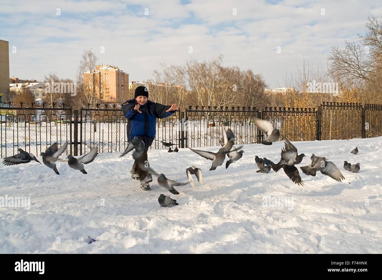 Little boy frightens birds Stock Photo - Alamy