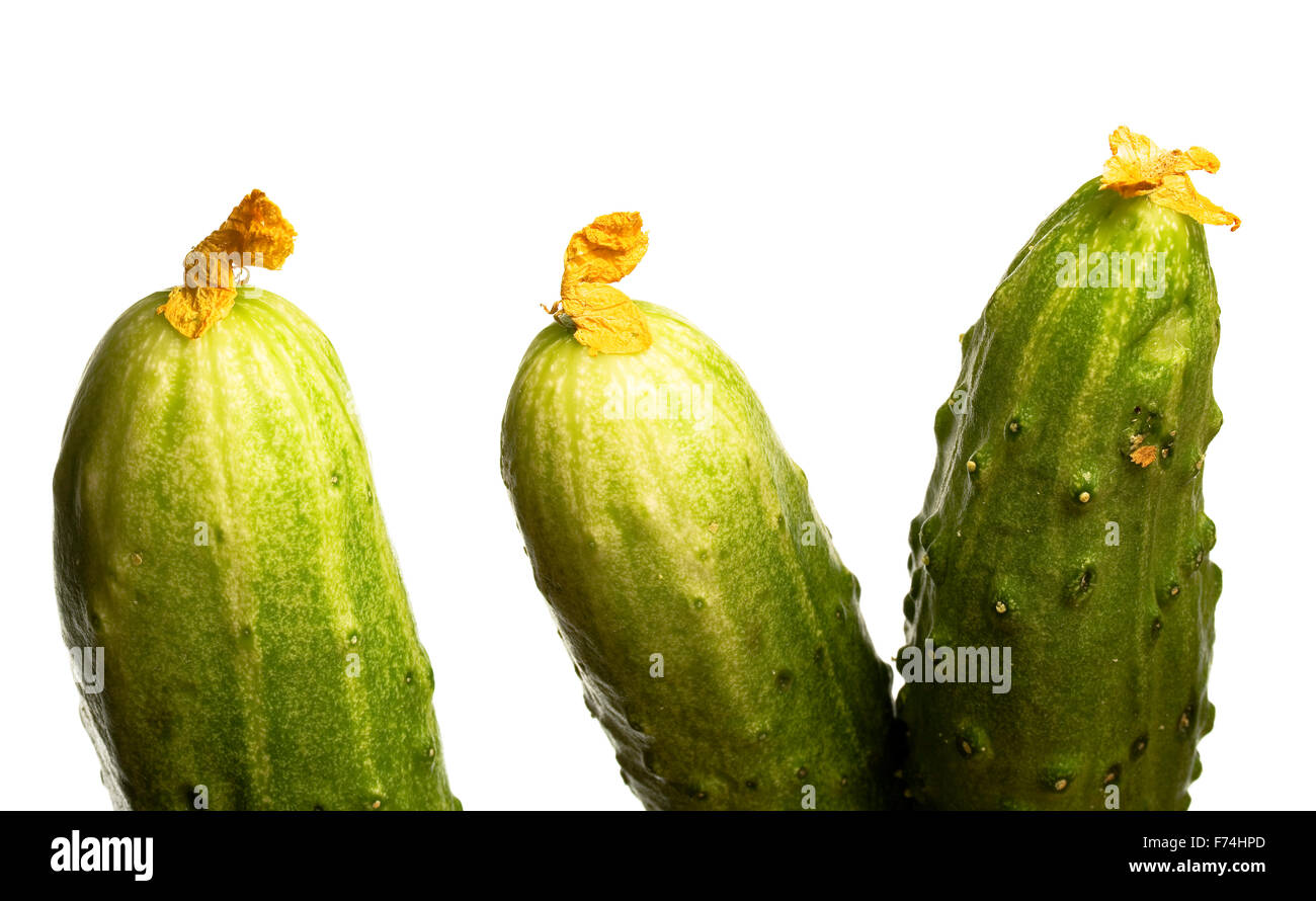 cucumber on white Stock Photo - Alamy