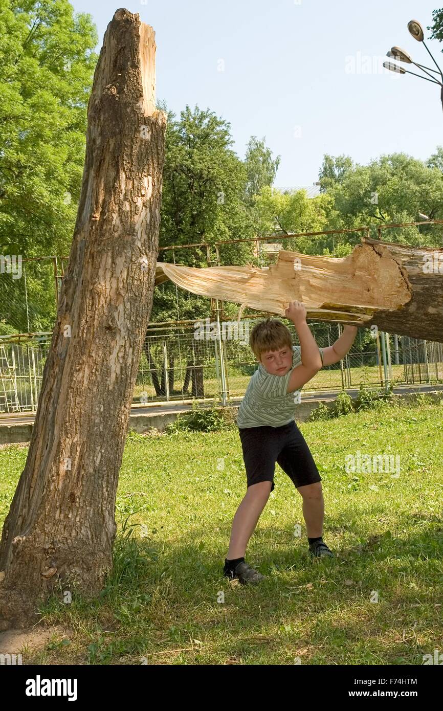 boy tries to lift a tree Stock Photo - Alamy